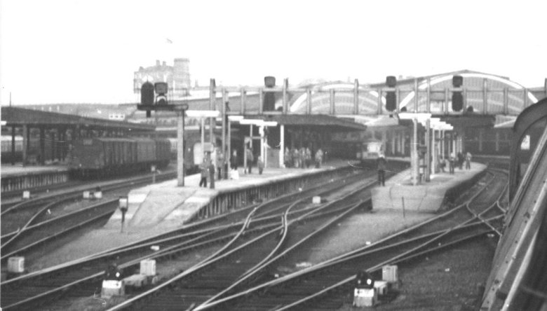 The Kit Spackman Collection