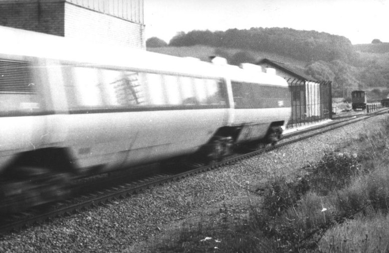 The Kit Spackman Collection